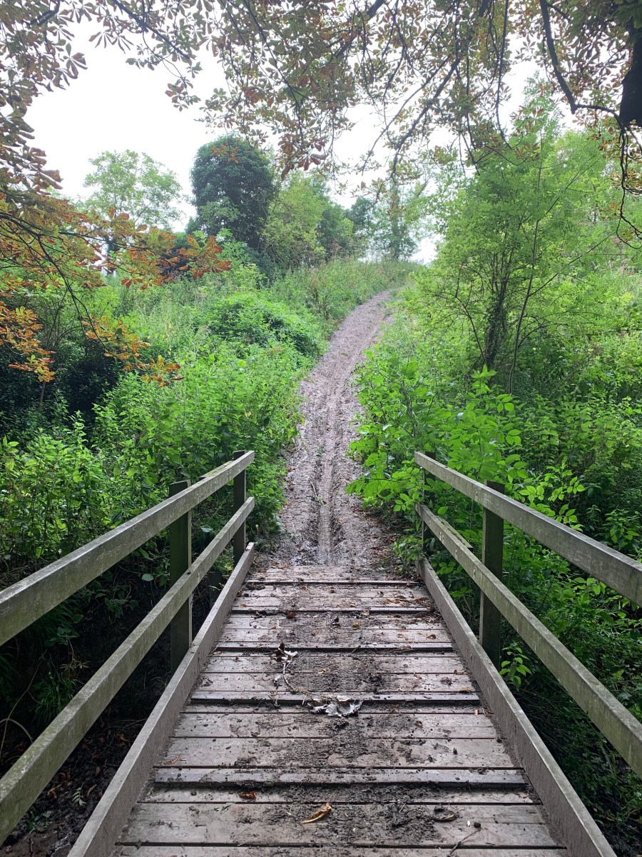 Half Marathon week 1 – Ridgeway Runner